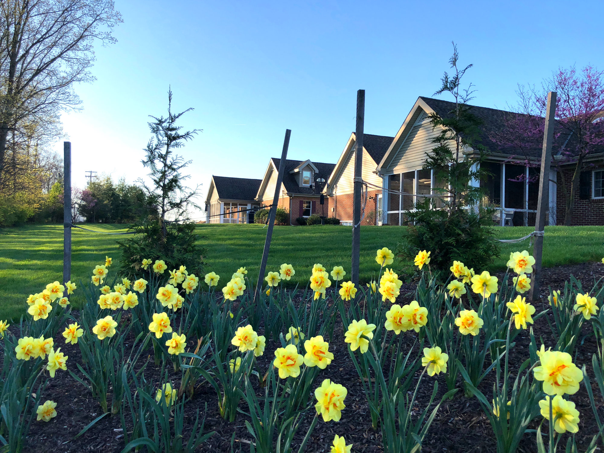 Galleries - Cross Keys Village